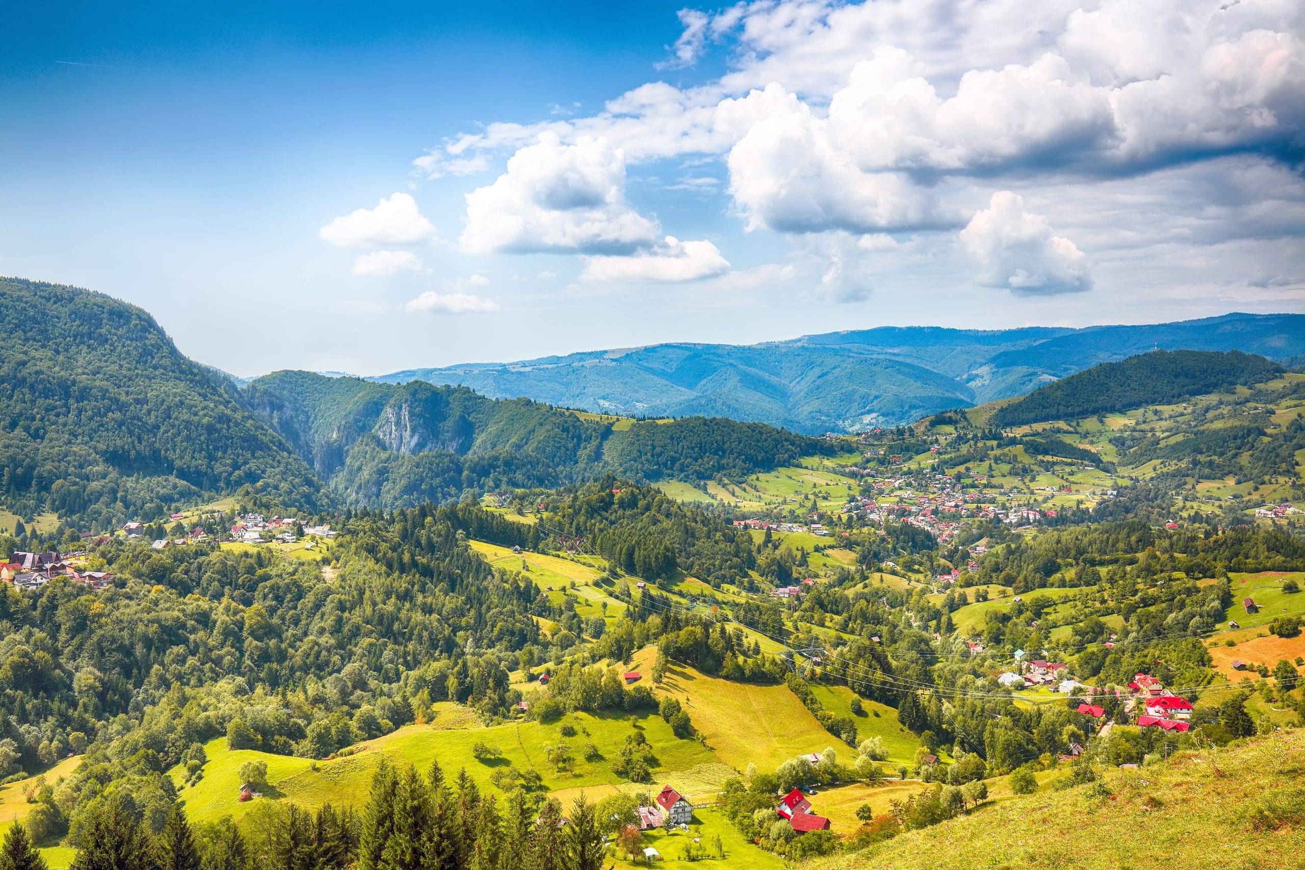 Cazare Rucar | Abigarrado